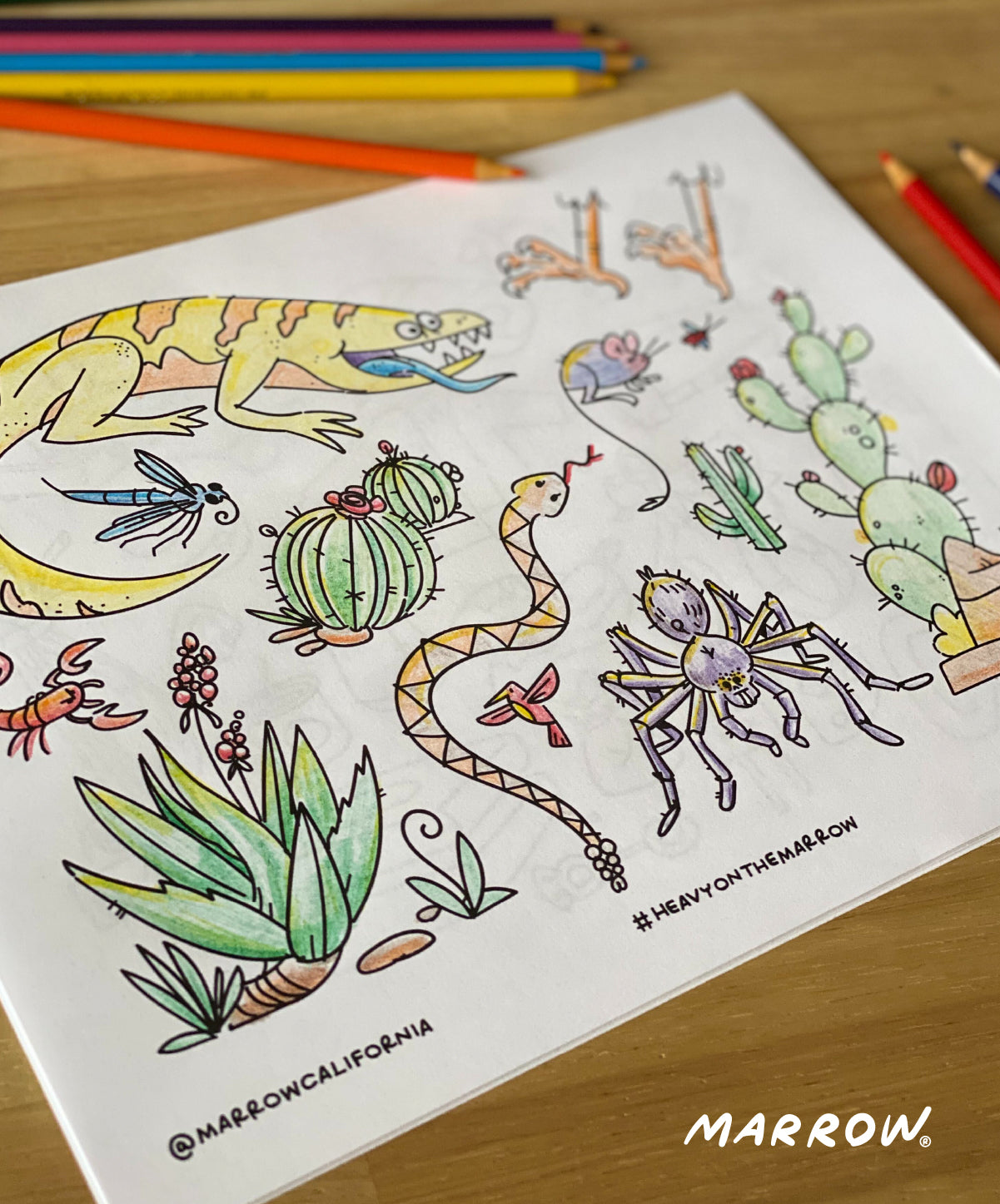 Heavy And Light Coloring Pages